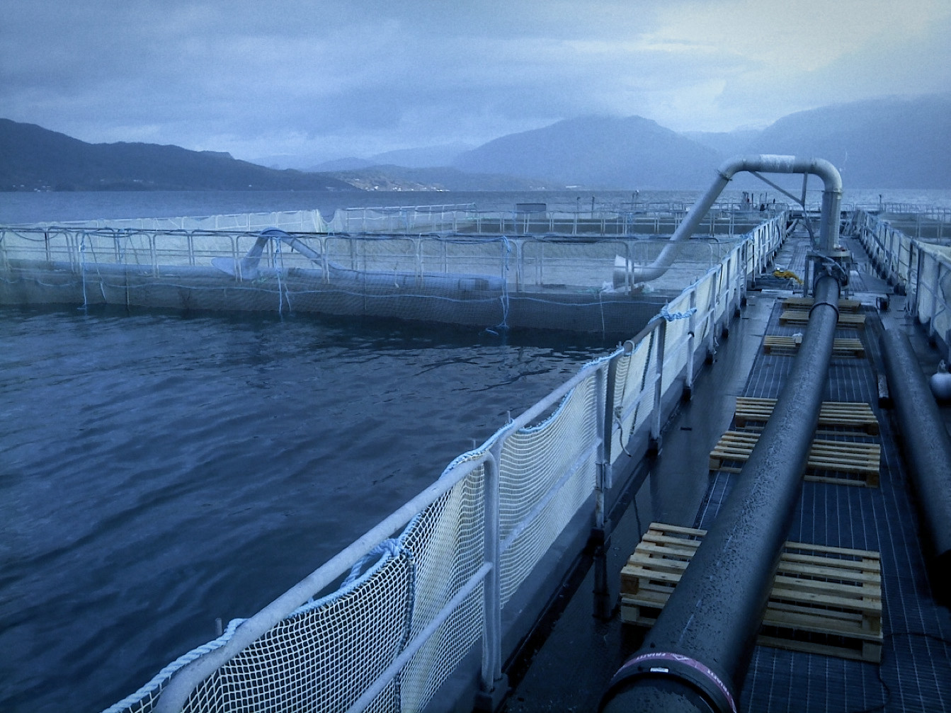 EUSKAN VSB3000 double tank system for pumping Salmon with suction arm ...